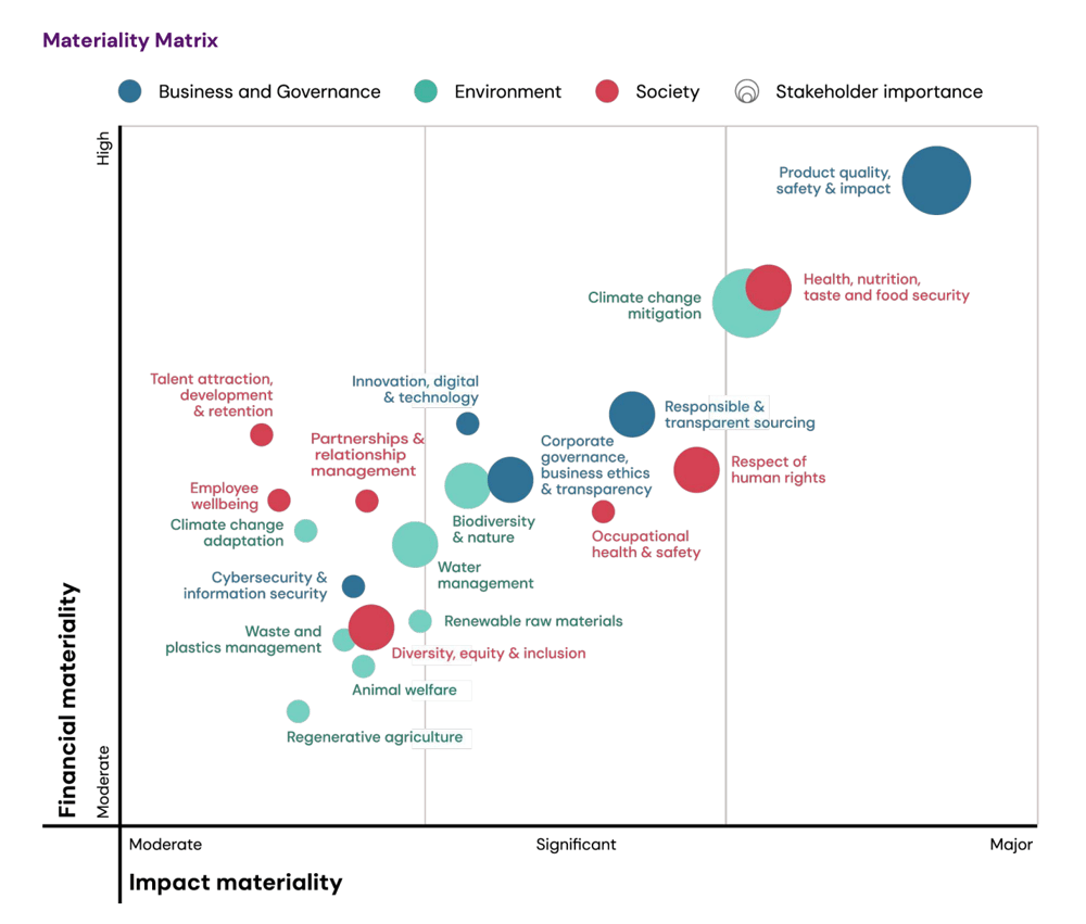 Real-world Double Materiality Chart Examples and Insights | Datylon