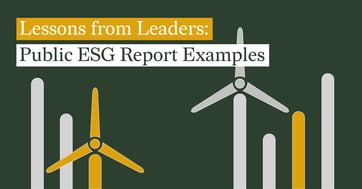 Public ESG Report Examples | Datylon