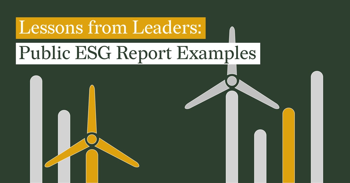 ESG Reporting. The Ultimate Guide (2025) | Datylon