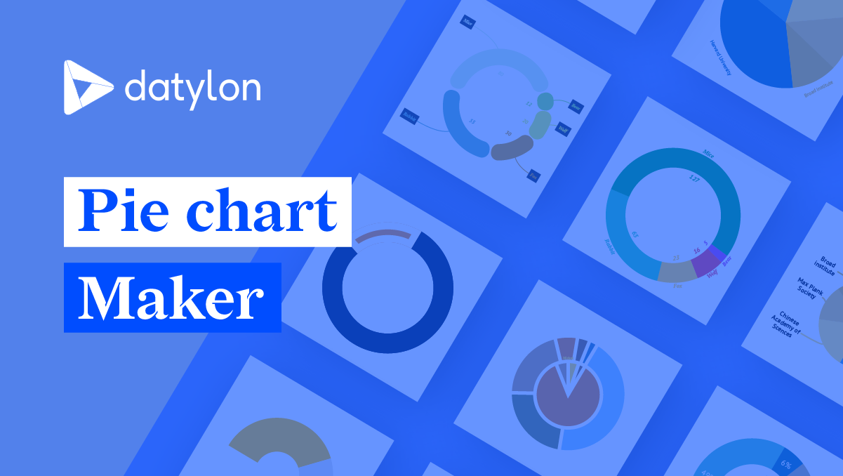 Free Pie Chart Maker - Create Your Own Pie Graphs Online | Datylon